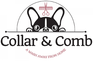 Dog Groomers Ballito Collar and Comb - About us